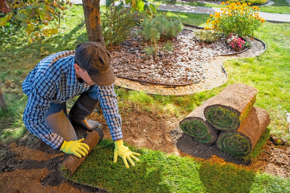 The Essential Guide to Mulching in Allen, TX: Tips and Techniques ...
